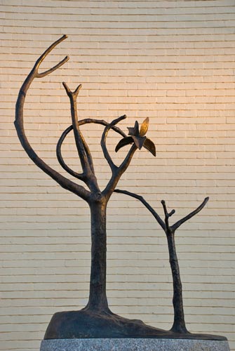 Zoe Amor Sculptor: Artist and Sculptor based in Castlemaine,